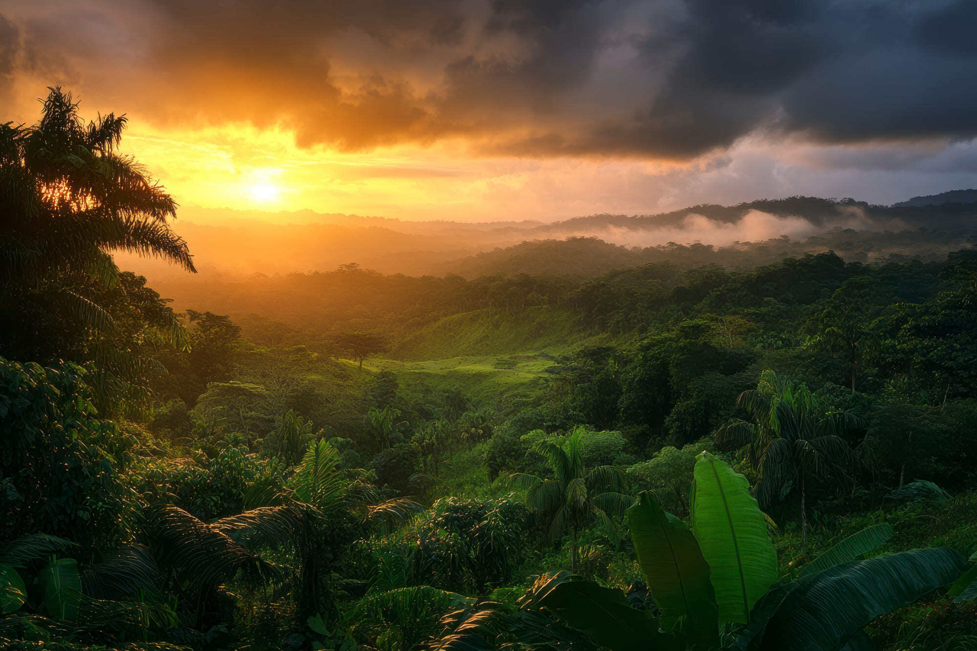 ¿Por qué elegir el Quindío como destino para tus vacaciones en ...
